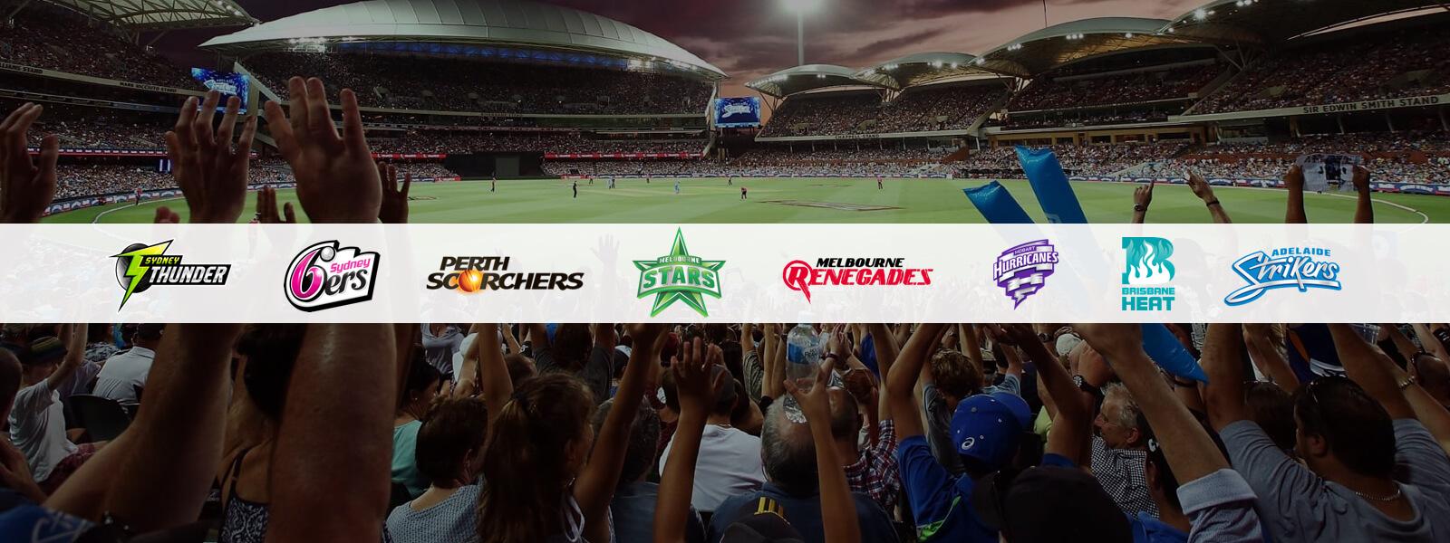 Sports fan engagement potential for Big Bash League clubs
